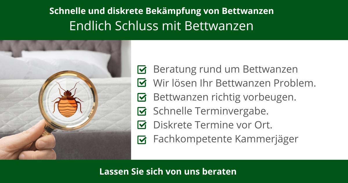 Muss man Bettwanzen beim Gesundheitsamt melden?